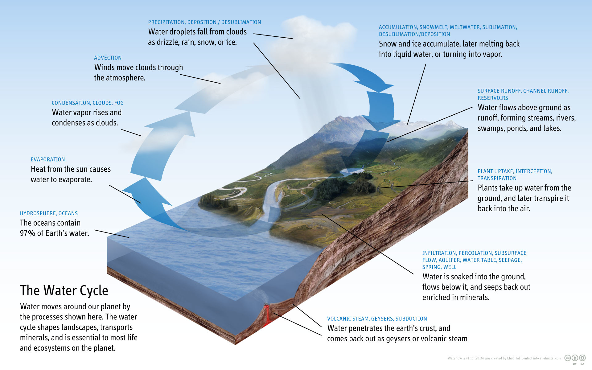 Biogeochemical Cycles – CoMo Science