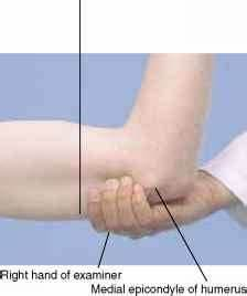 Pulses, Lymph nodes – CoMo Science