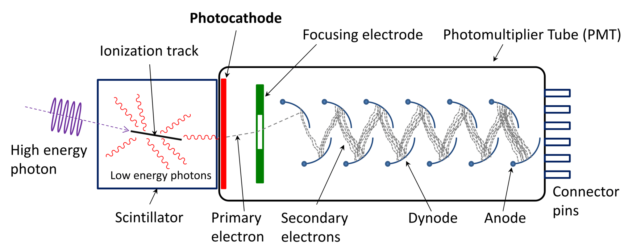 Phos-, phot- – CoMo Science