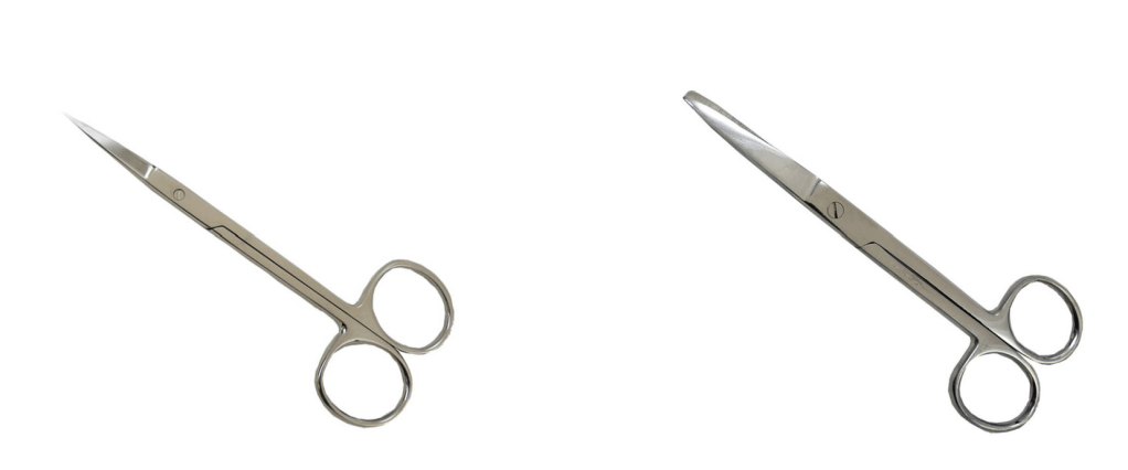 Lab Skills – Dissection – CoMo Science