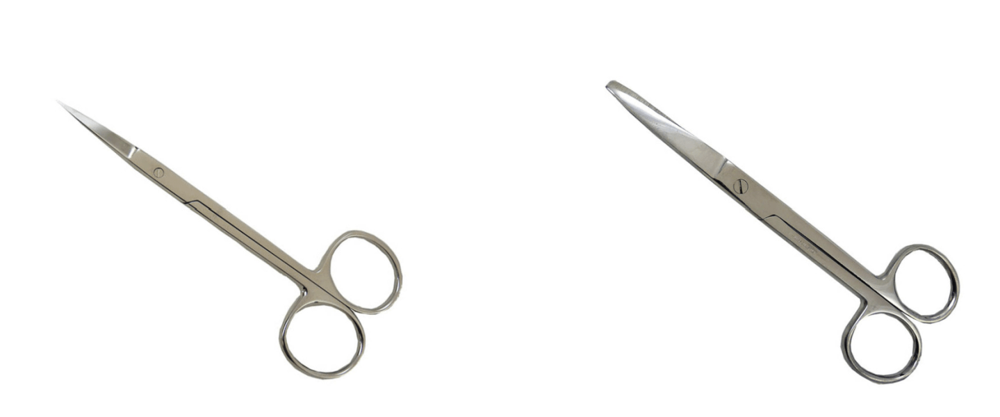 Lab Skills – Dissection – CoMo Science
