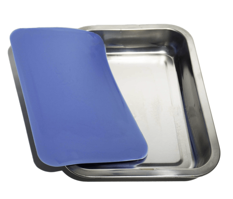 Lab Skills – Dissection – CoMo Science