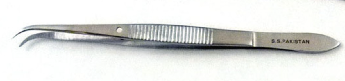 Lab Skills – Dissection – CoMo Science