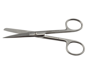 Lab Skills – Dissection – CoMo Science